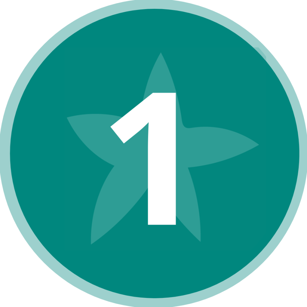 Bright Side Play | Premier Indoor Play Space in Southlake, TX